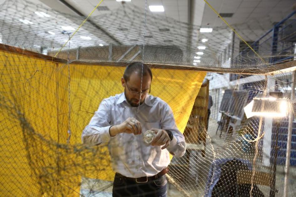 Artificial Bee / Business - Innovations - Technology (BIT of WUT ...